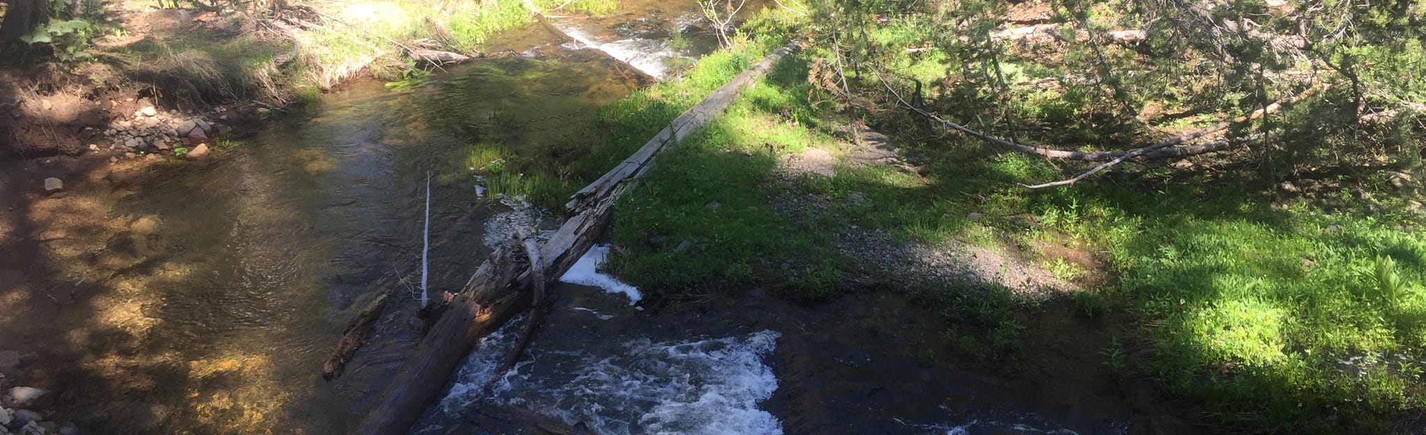 PCT: CA Section N - Belden to Burney Falls State park: 65 Reviews, Map ...