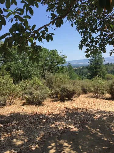 10 Best Trails and Hikes in Jacksonville | AllTrails