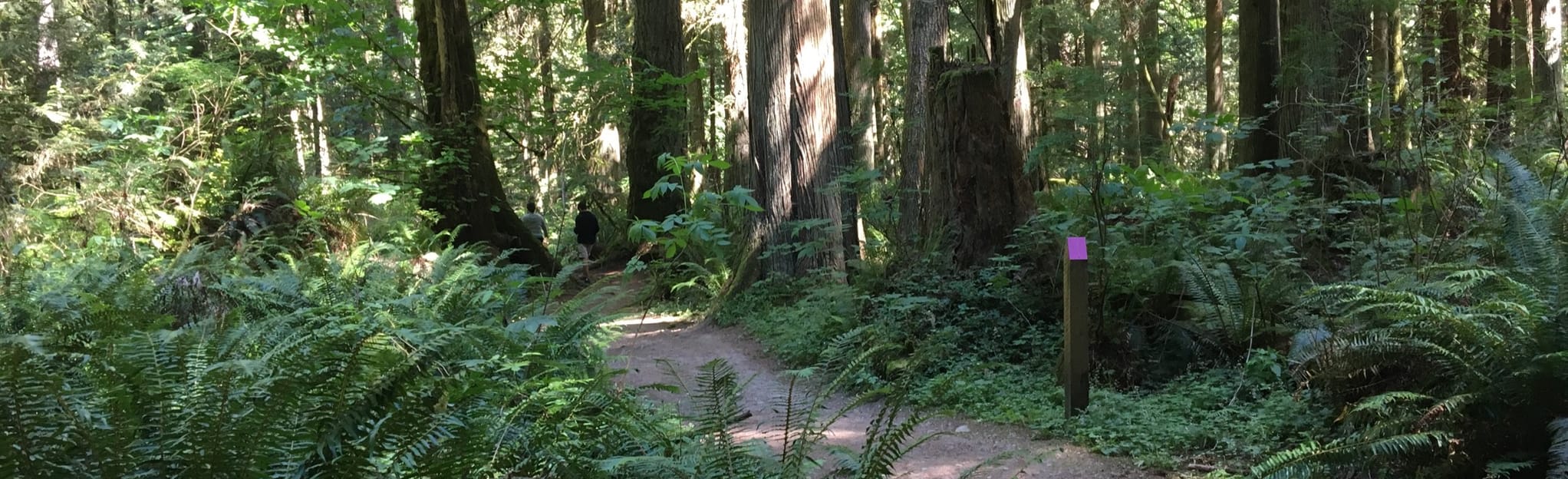 Kinnikinnick Park Pink Trail: 125 Reviews, Map - British Columbia ...