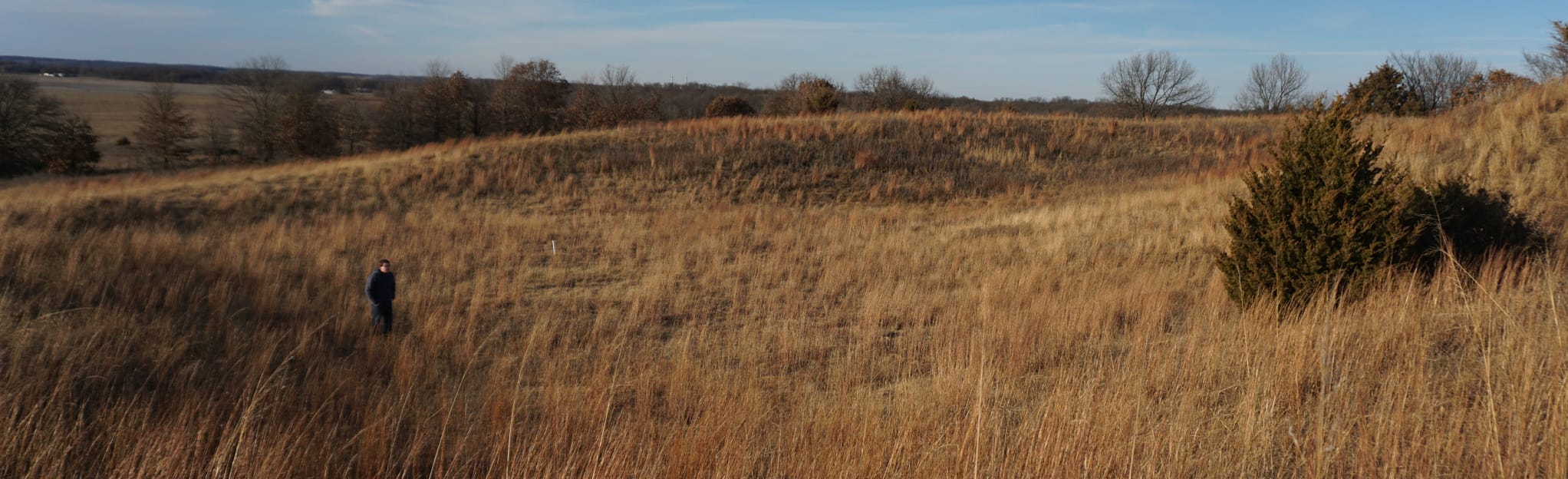 Henry Allan Gleason Nature Preserve: 6 Reviews, Map - Illinois | AllTrails