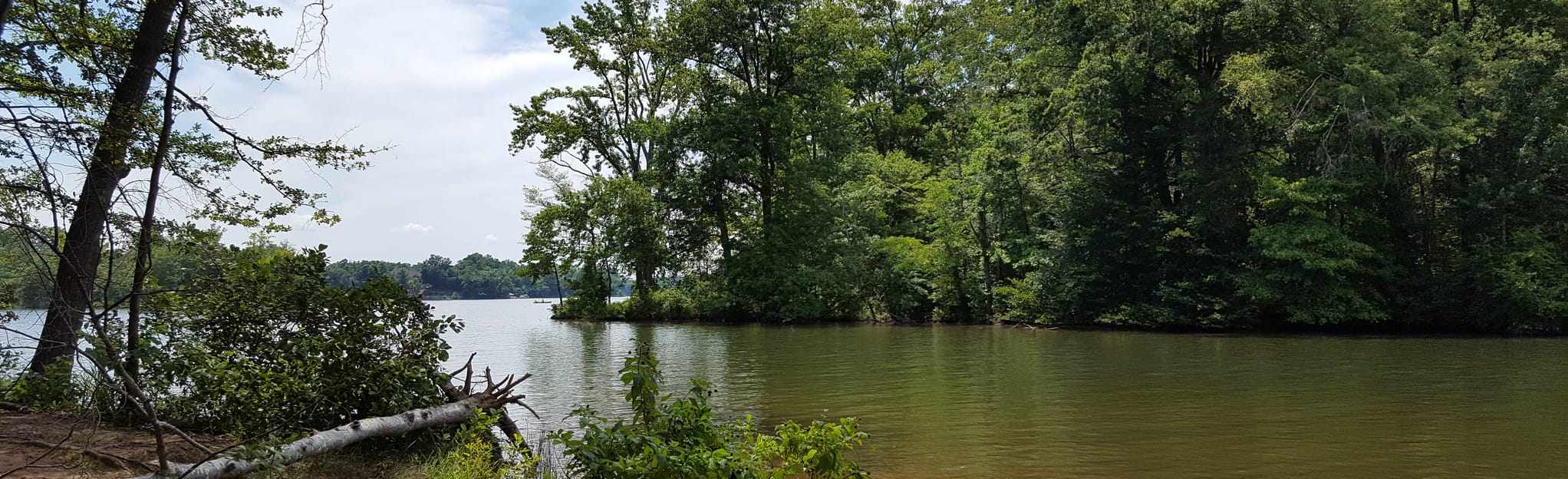 Latta Waterfront Trail | Map, Guide - North Carolina | AllTrails