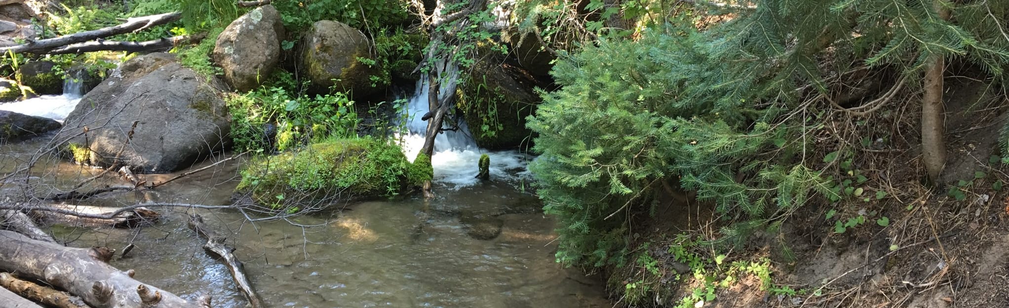 Whipple Trail, Utah - 244 Reviews, Map | AllTrails