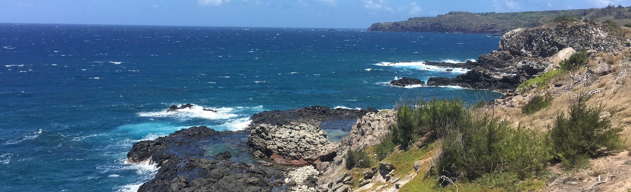 Lipoa Point: 138 Fotos - Maui, Hawaii | Wandern | AllTrails