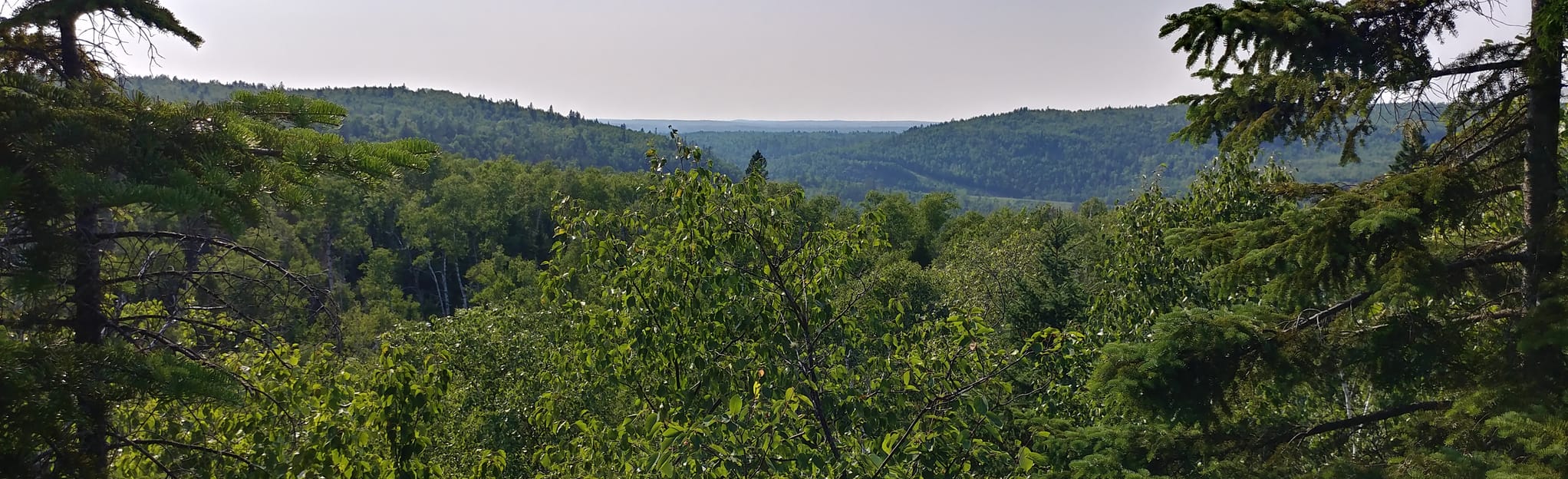 AllTrails | Cove Point Loop to Superior Hiking Trail Loop: 115 Reviews ...