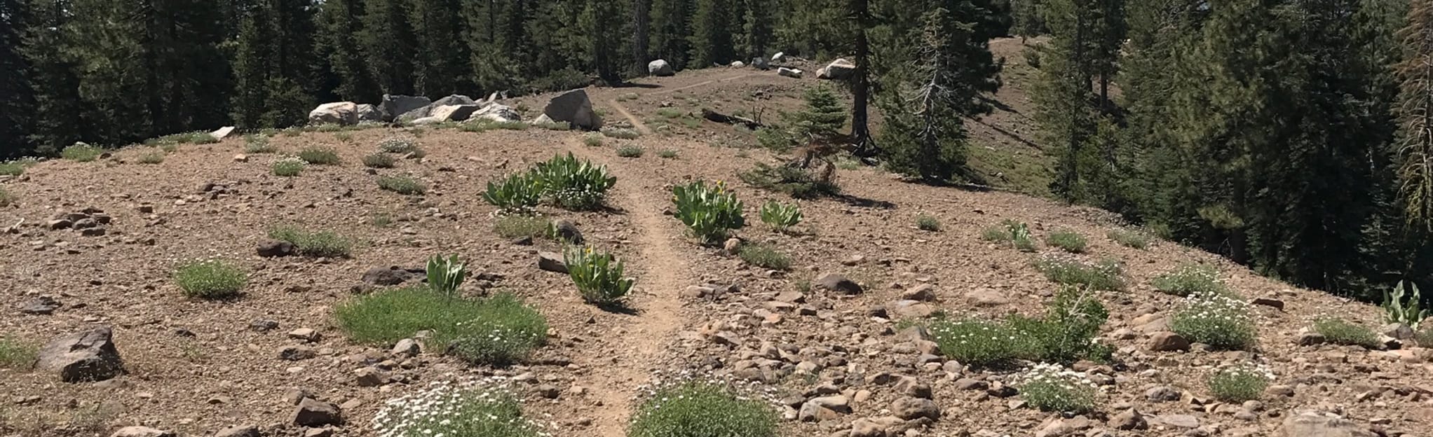 Alpine Lake to Emigrant Pass to Osborne Ridge, California - 64 Reviews ...