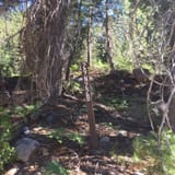 McGowan Lake, California - 21 Reviews, Map | AllTrails