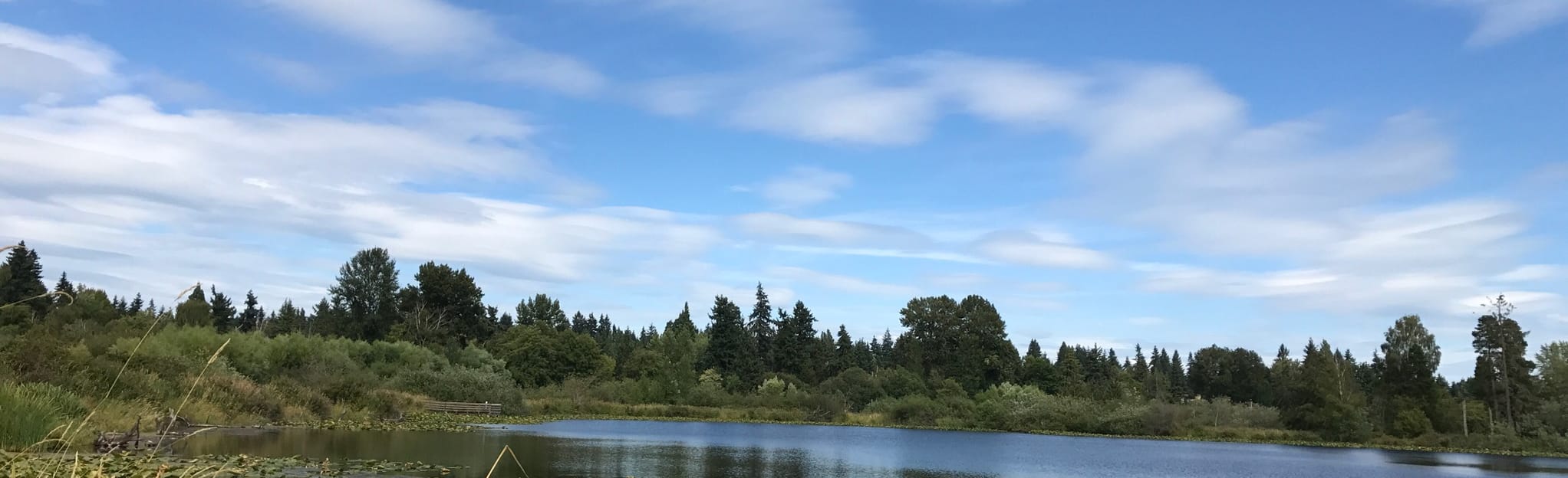 Larsen Lake Perimeter Loop, Washington - 155 Reviews, Map | AllTrails
