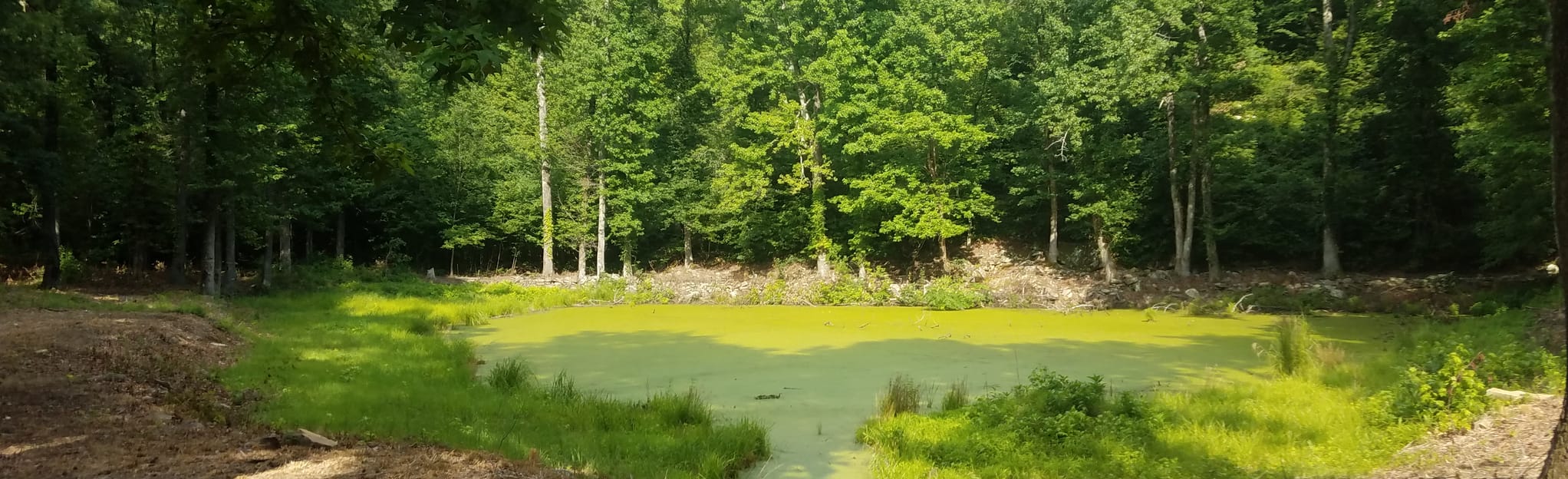 Bench Trail: 414 Reviews, Map - Arkansas | AllTrails