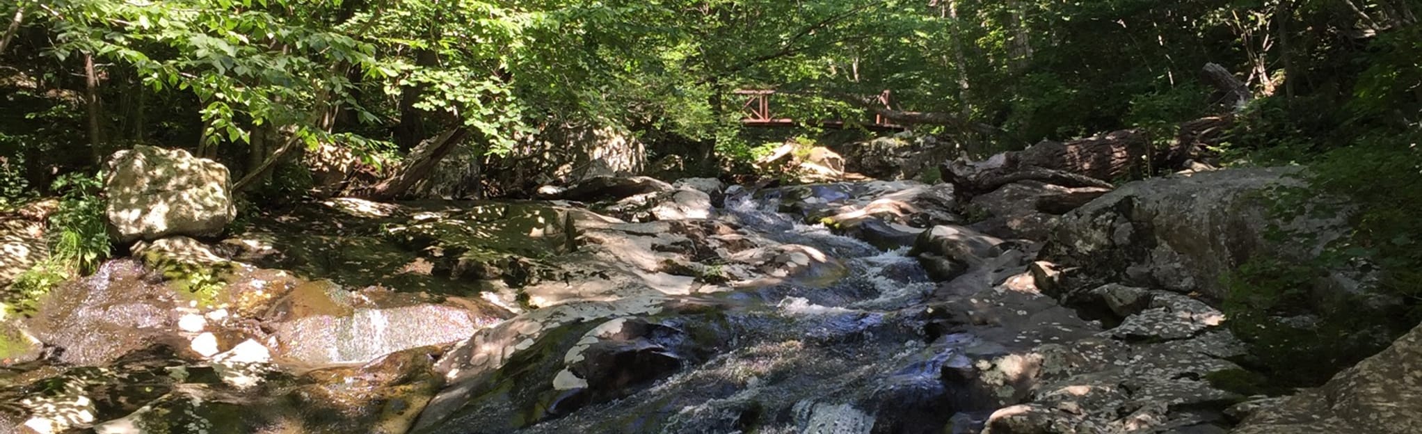 Cedar Run, White Oak, Old Rag, Weakley Hollow and Nicholson Hollow ...