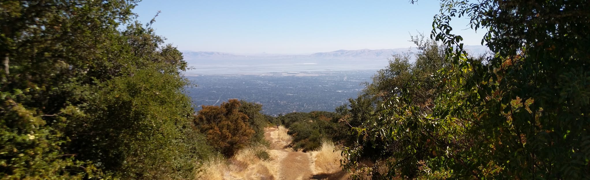 Black Mountain via Hidden Villa | Map, Guide - California | AllTrails