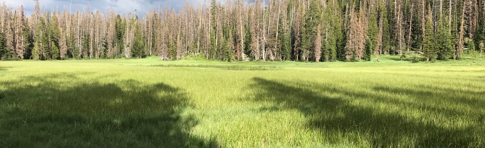 Round, Sand, and Fish Lakes: 102 Reviews, Map - Utah | AllTrails