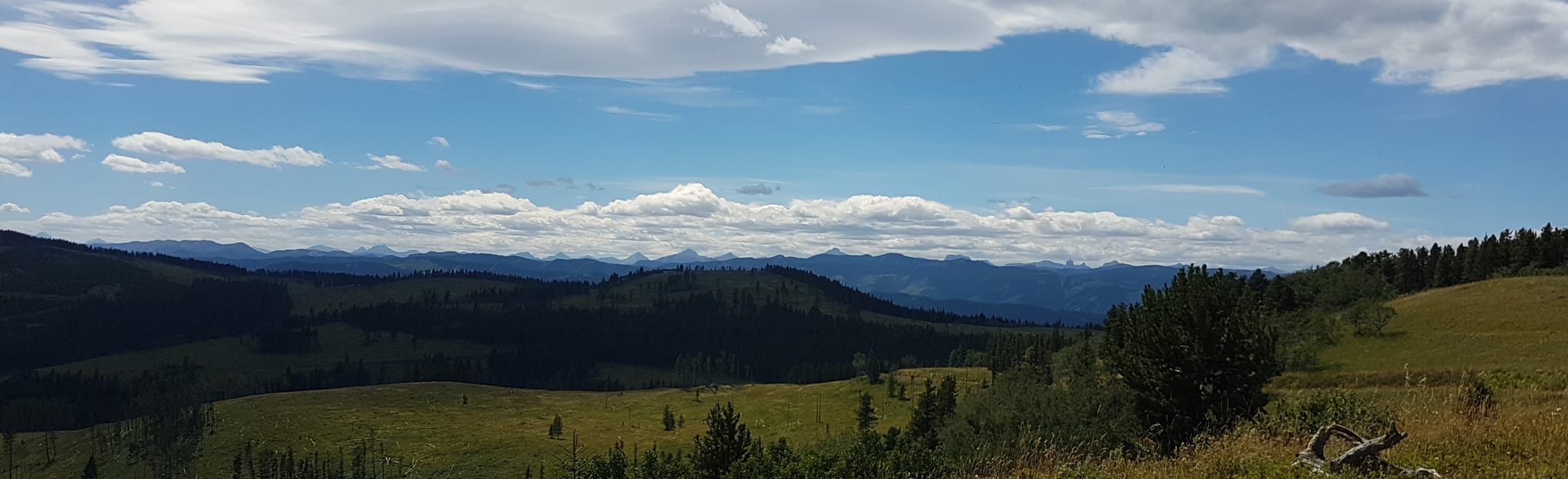 Lyndon Creek via Raspberry Creek, Alberta, Canada - Map, Guide | AllTrails