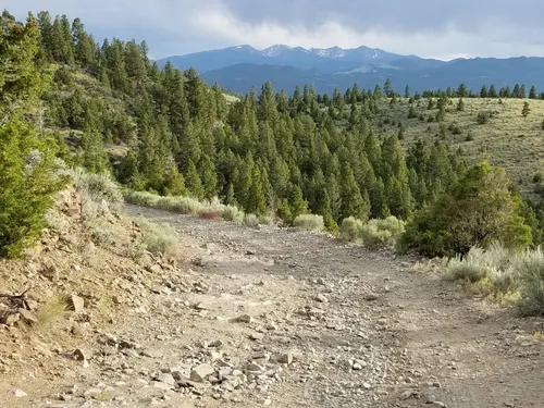 2023 Best 10 Off Road Driving Trails in Montana | AllTrails