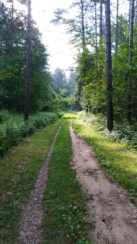 10 Best Hikes and Trails in Durham Regional Forest | AllTrails