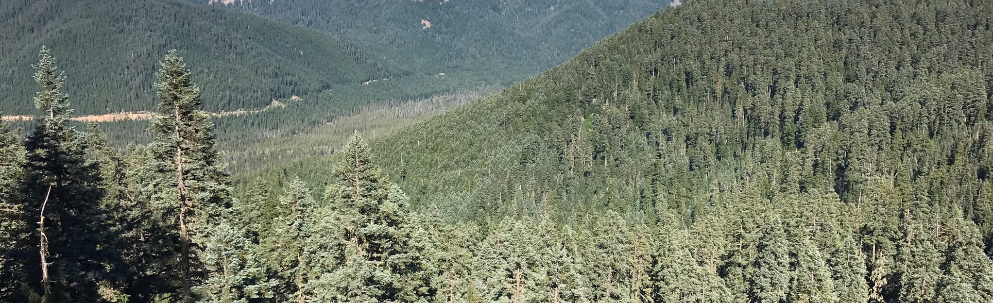 Barlow Butte Trail | Map, Guide - Oregon | AllTrails