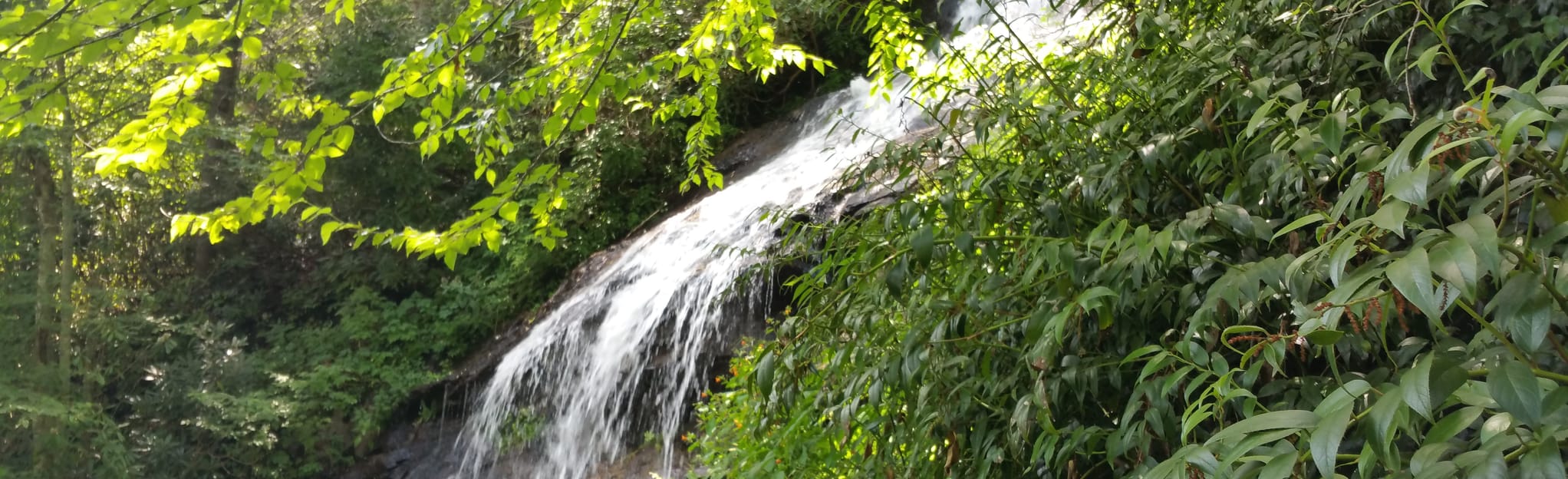 The Blue Ridge Escarpment, North Carolina - 120 Reviews, Map | AllTrails