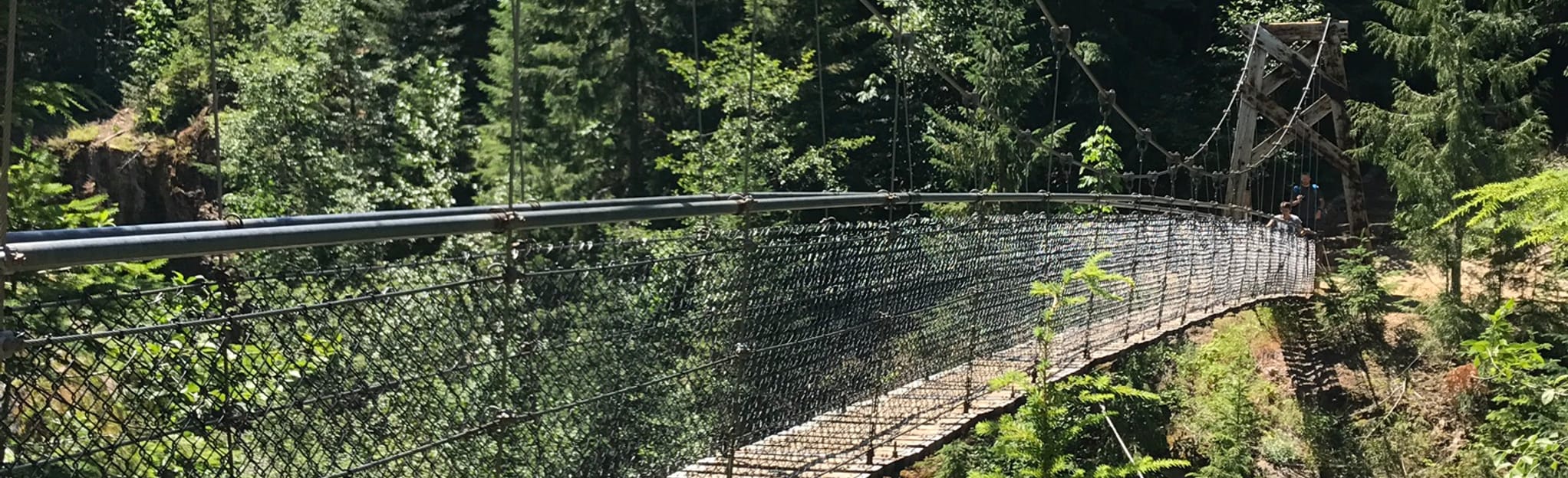 Lava Canyon Suspension Bridge, Washington - 263 Reviews, Map | AllTrails