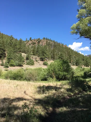 10 Best Hikes and Trails in Rio Grande National Forest, Divide Ranger ...