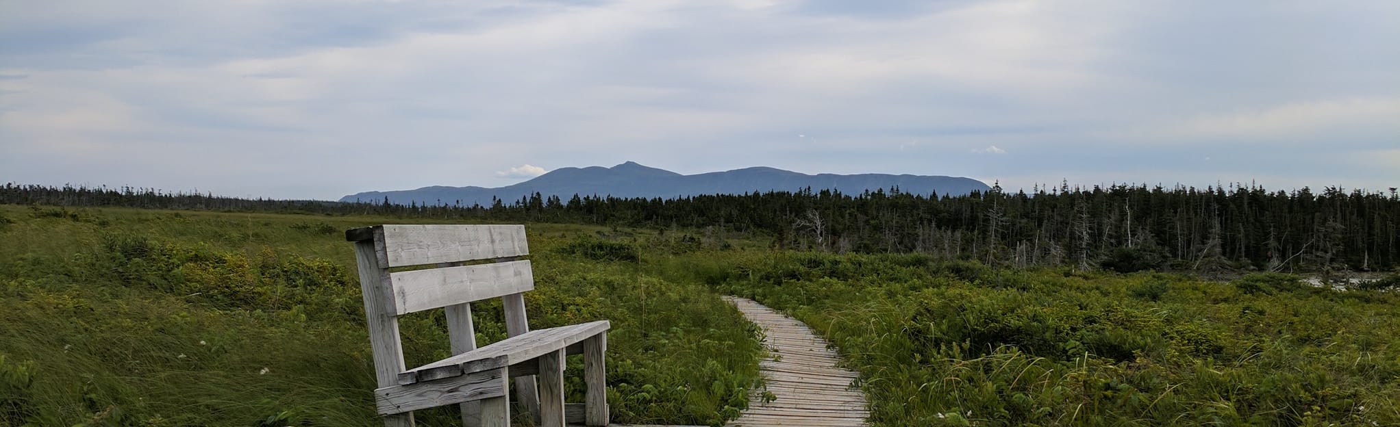 Berry Head Pond Trail | Map, Guide - Newfoundland and Labrador, Canada ...