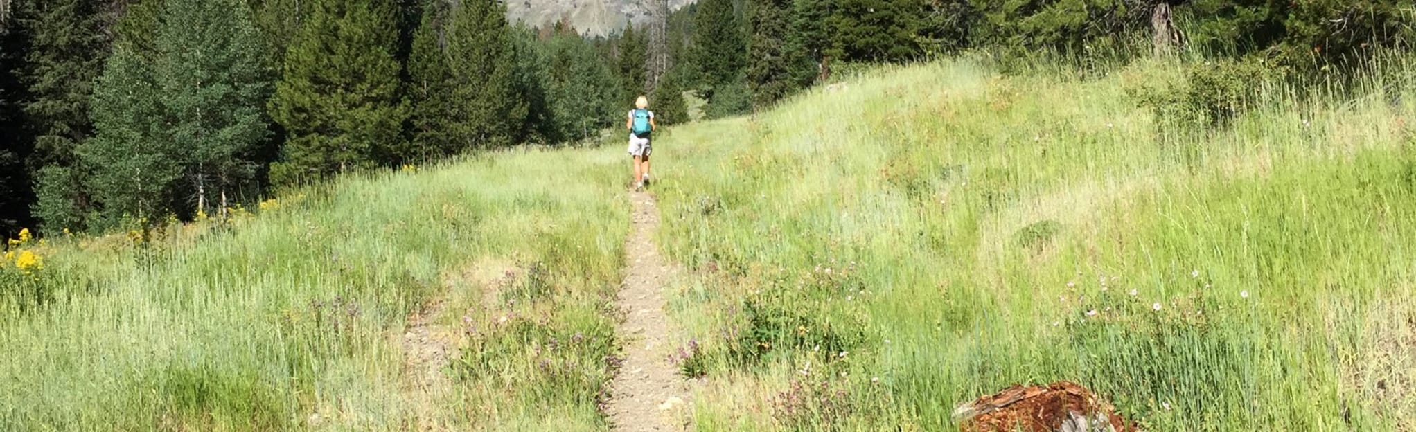 Apollo Creek Trail , Idaho - 10 Reviews, Map | AllTrails