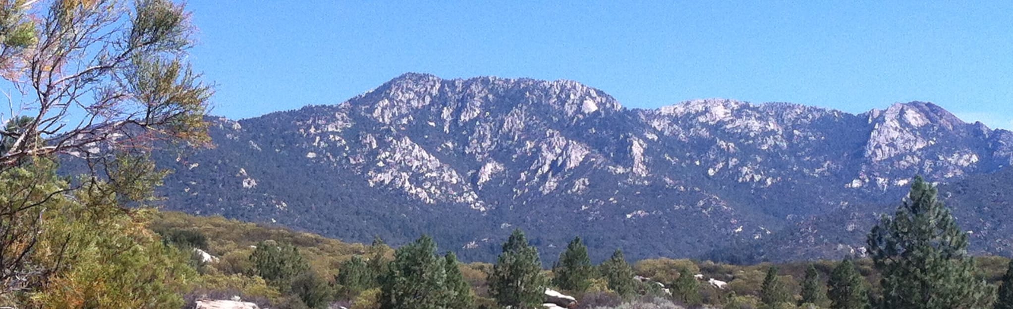 Hurkey Creek Trail, California - 395 Reviews, Map | AllTrails