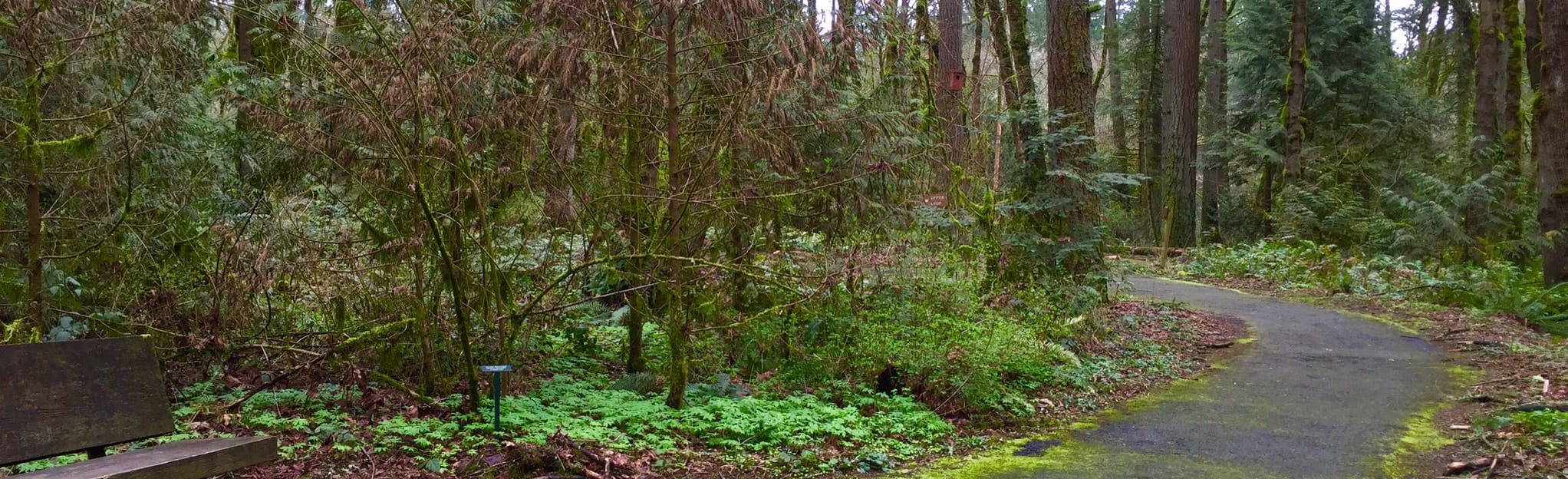 Old Main Trail Loop, Oregon - 629 Reviews, Map | AllTrails