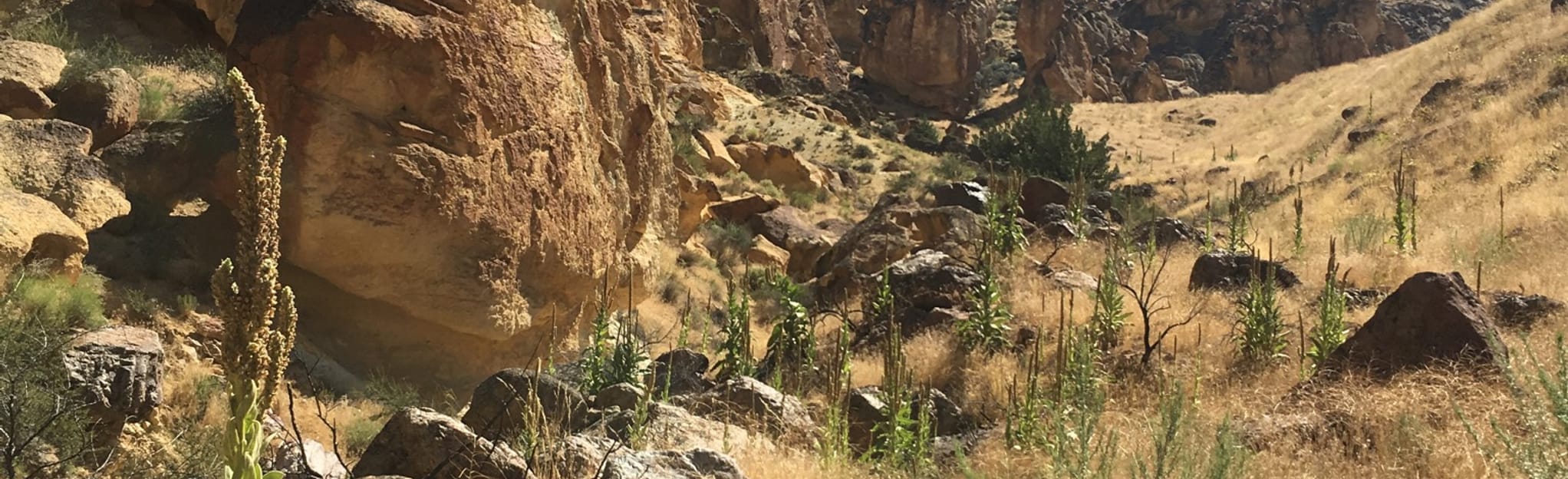 Timber Gulch: 24 Reviews, Map - Oregon | AllTrails