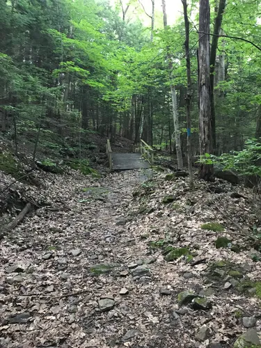 10 Best Hikes and Trails in October Mountain State Forest | AllTrails