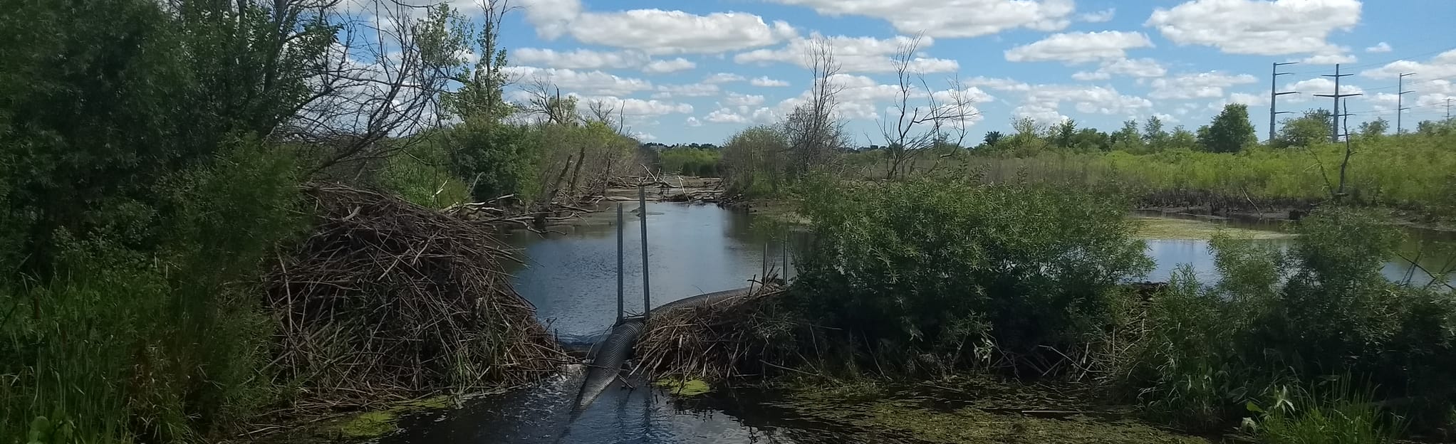 James "Pate" Philip State Park Loop, Illinois - 350 Reviews, Map ...