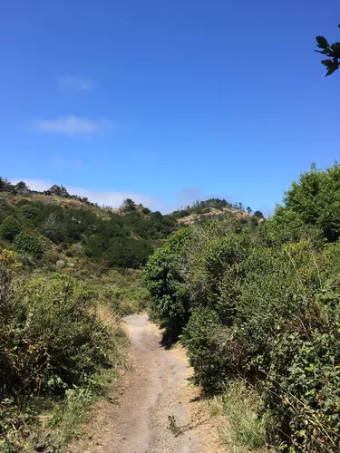 Best 10 Hikes and Trails in Point Reyes National Seashore | AllTrails