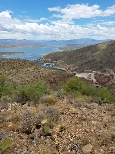 Best Hikes and Trails in Four Peaks Wilderness | AllTrails