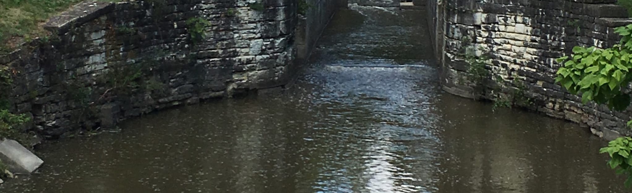 AllTrails | Illinois and Michigan Canal Trail: Joilet to Lockport: 104 ...