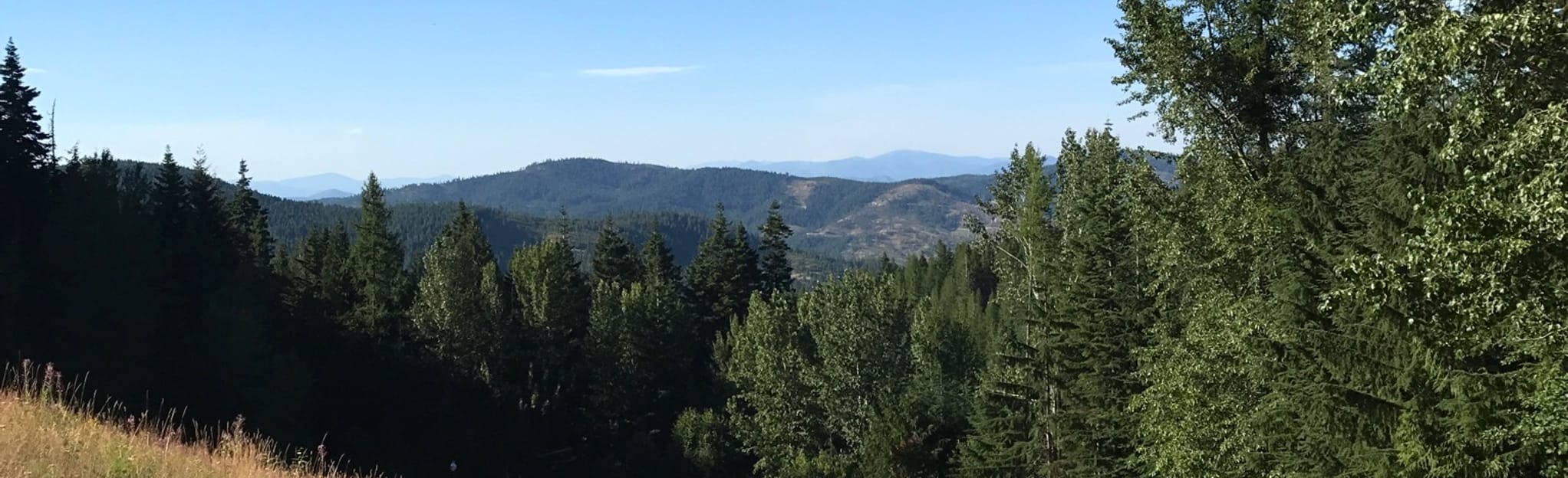 The Mount Spokane Loop Summer Route: 32 Reviews, Map - Washington ...