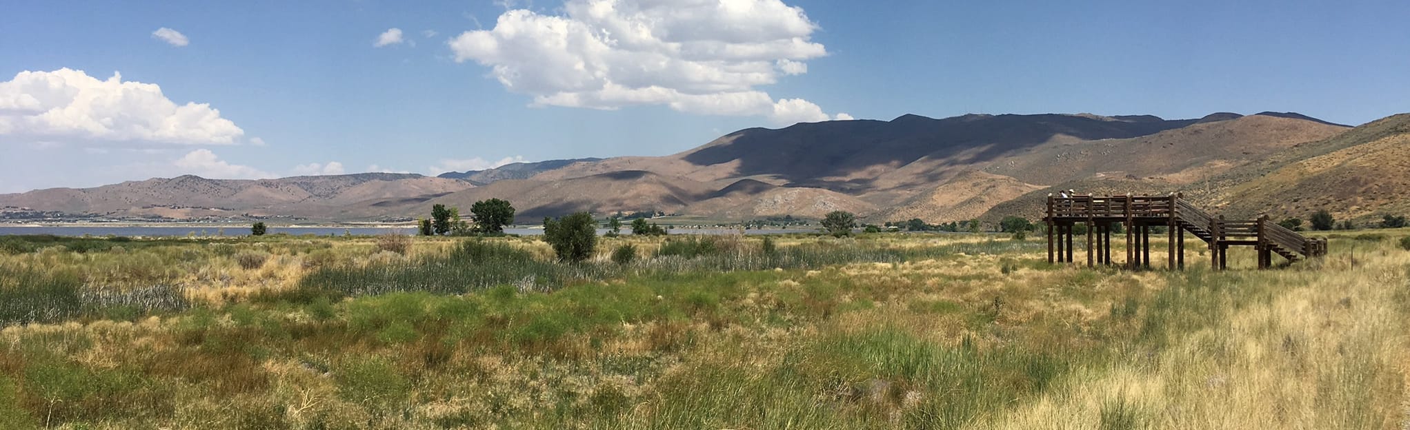 Washoe Lake Wildlife Trail, Nevada - 102 Reviews, Map | AllTrails