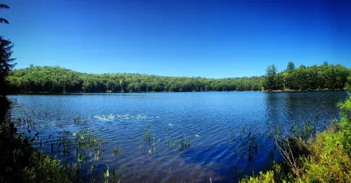 10 Best Hikes and Trails in Ferris Lake Wild Forest | AllTrails