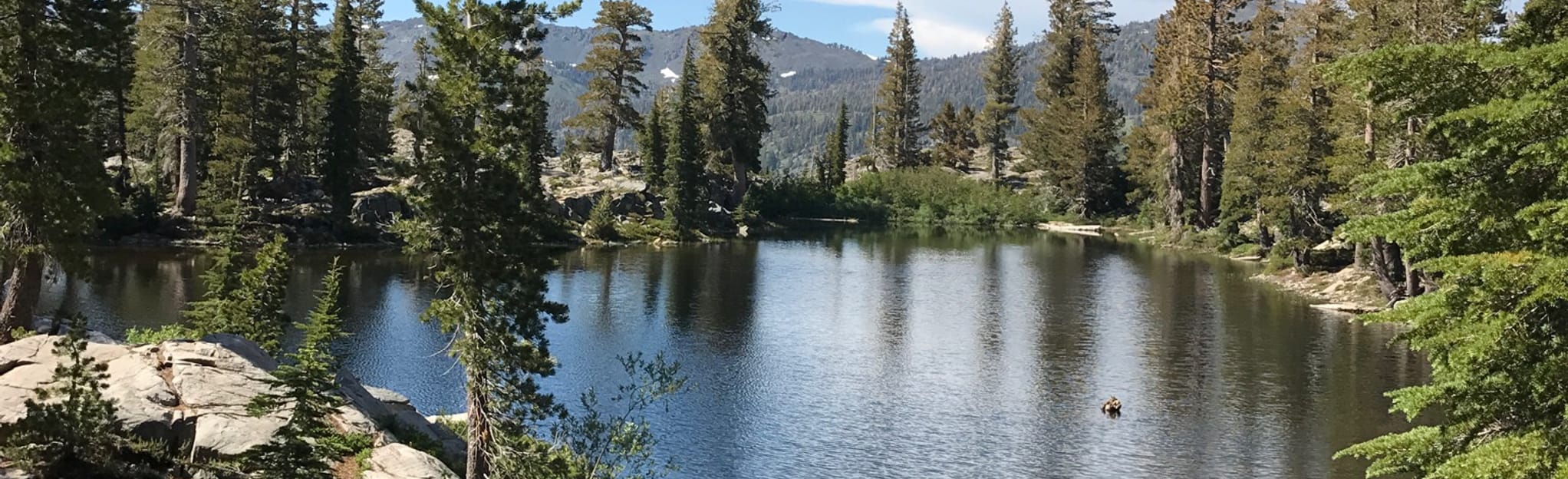 Triangle Lake Trail, California - 28 Reviews, Map | AllTrails