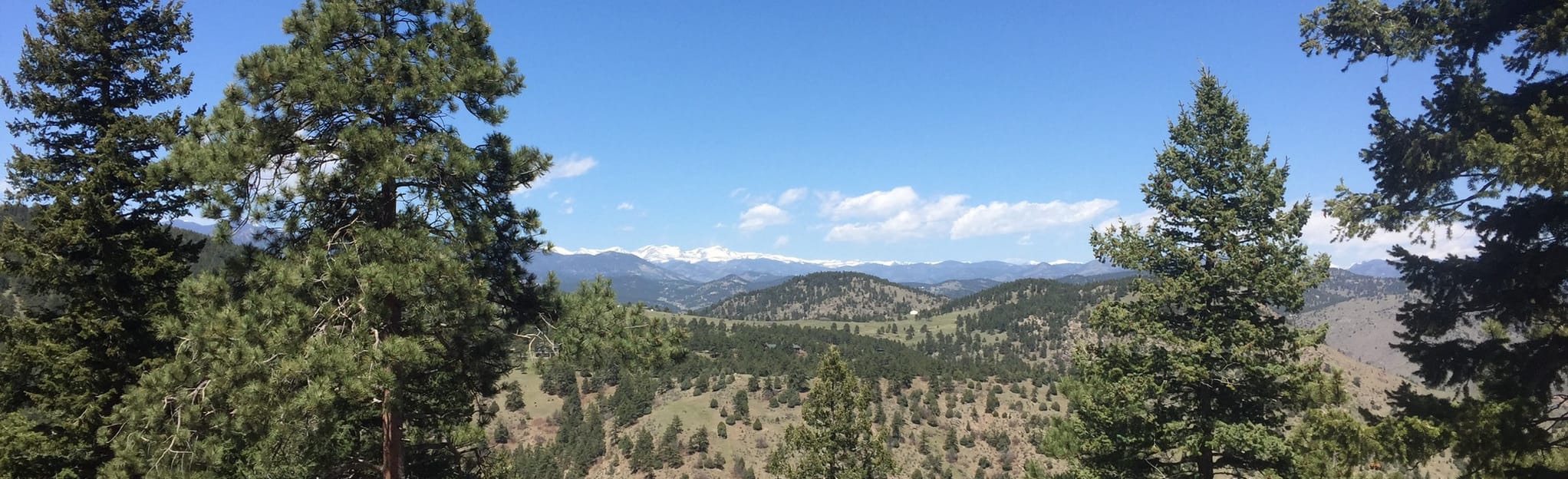 Mount Falcon Mountain Bike Trail: 166 Reviews, Map - Colorado | AllTrails