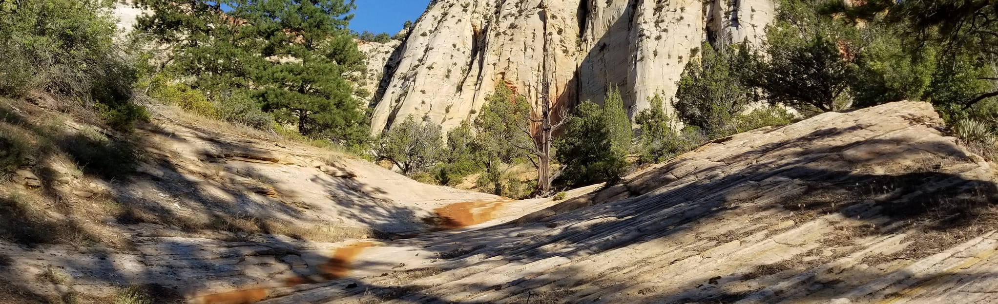 Hidden Arch Trail, Utah - 56 Reviews, Map | AllTrails