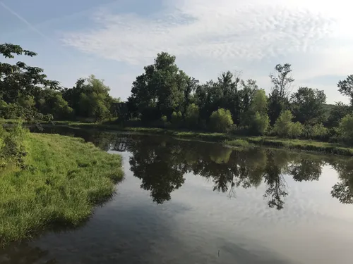 10 Best Bird Watching Trails in Dallas | AllTrails
