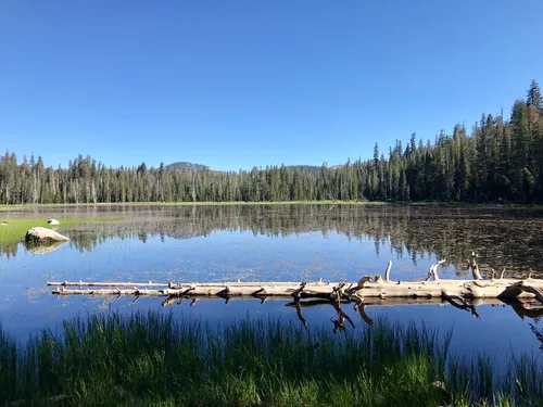 10 Best Trails and Hikes in Oakhurst | AllTrails
