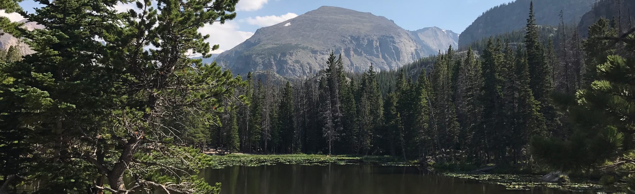 Nymph Lake Trail, Colorado - 905 Reviews, Map | AllTrails