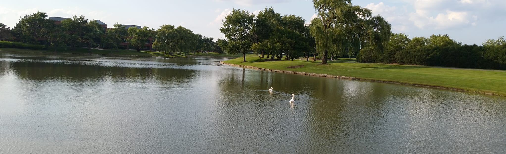 Hamilton Lakes Walking Path: 95 Reviews, Map - Illinois | AllTrails
