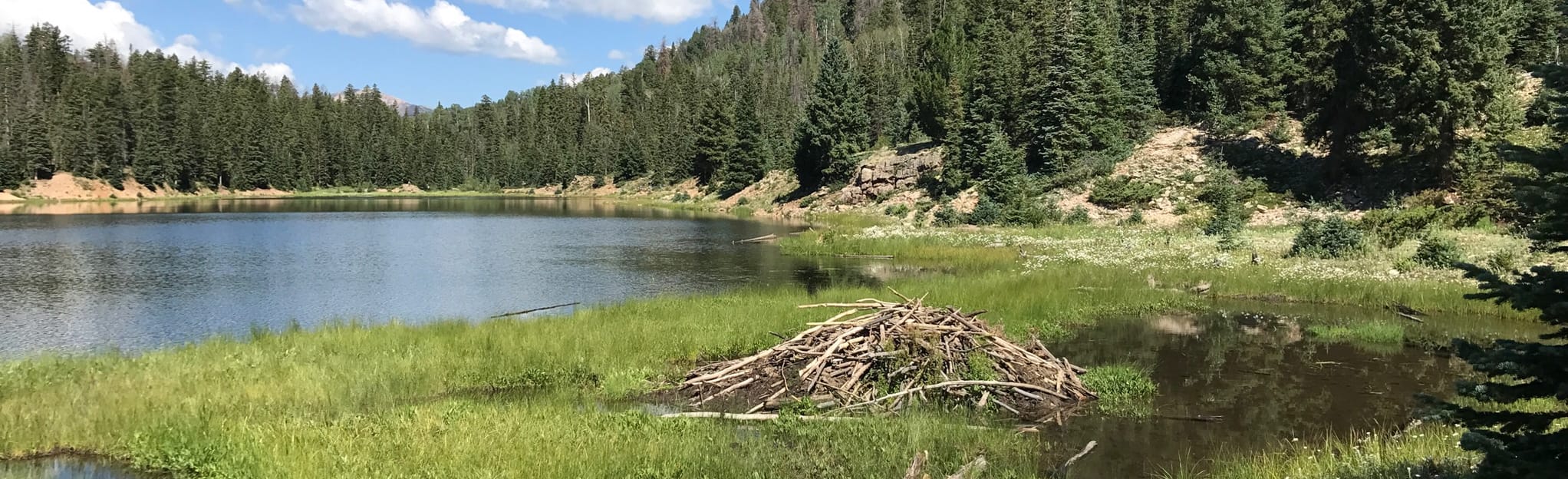 Potato Lake via Spud Lake Trail: 684 foto's - Colorado | AllTrails