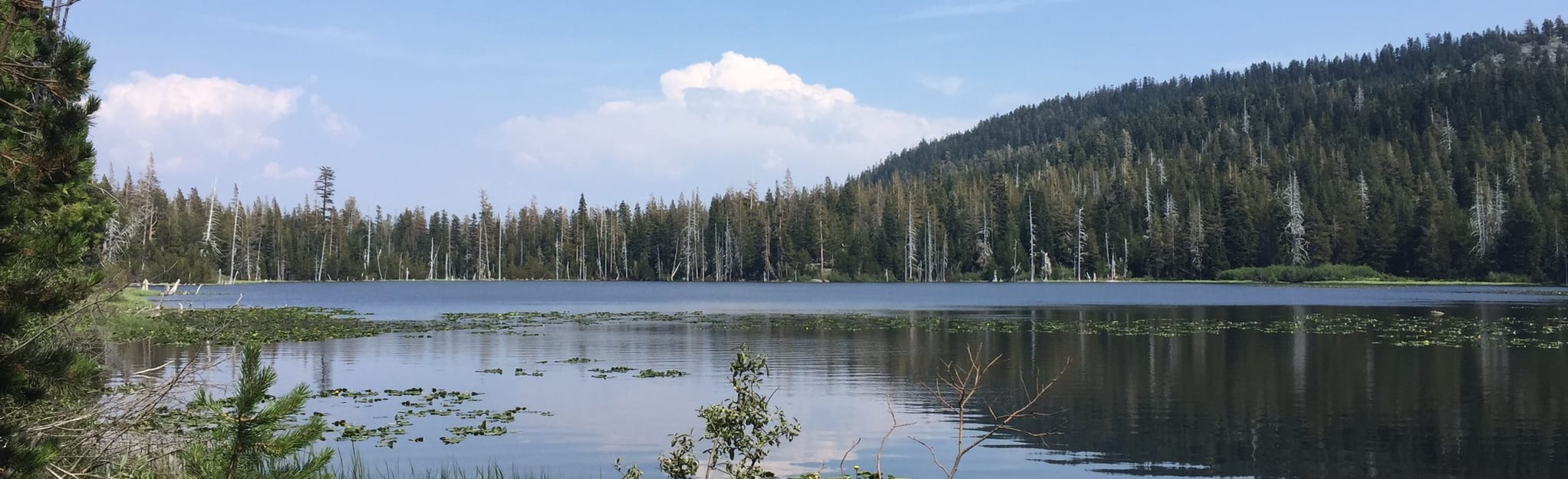 Loon Lake via Rubicon Trail, California - 52 Reviews, Map | AllTrails