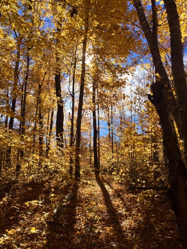 2023 Best trails in Rainbow Lake Wilderness | AllTrails