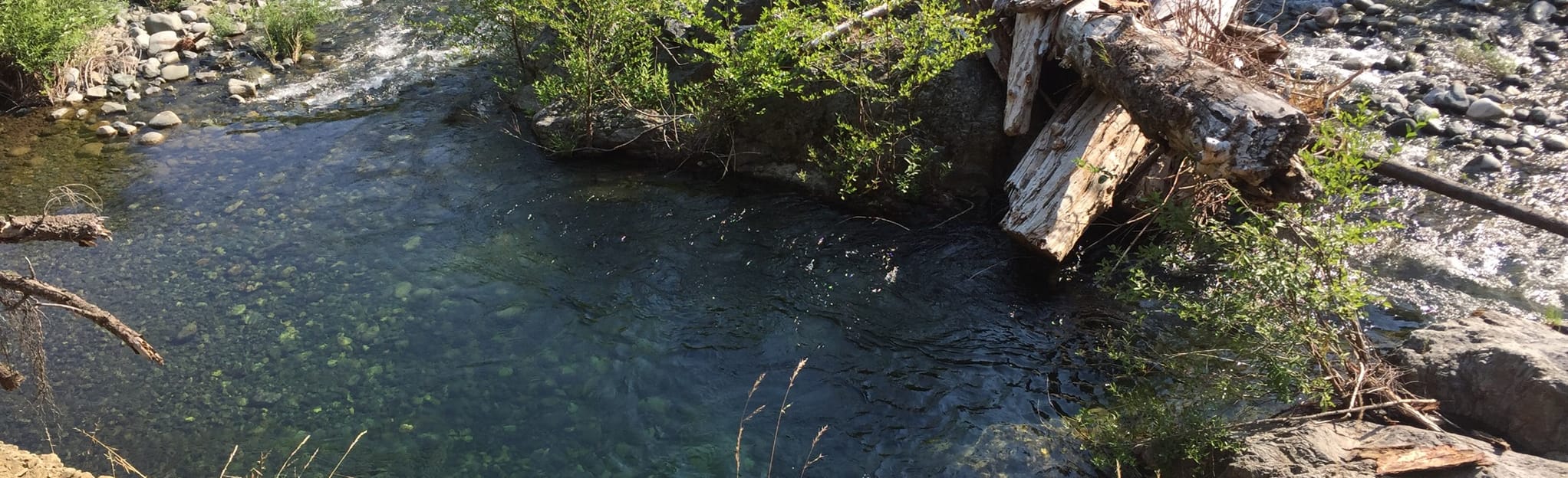 Rattlesnake Creek to Papoose Lake: 15 Reviews, Map - California | AllTrails