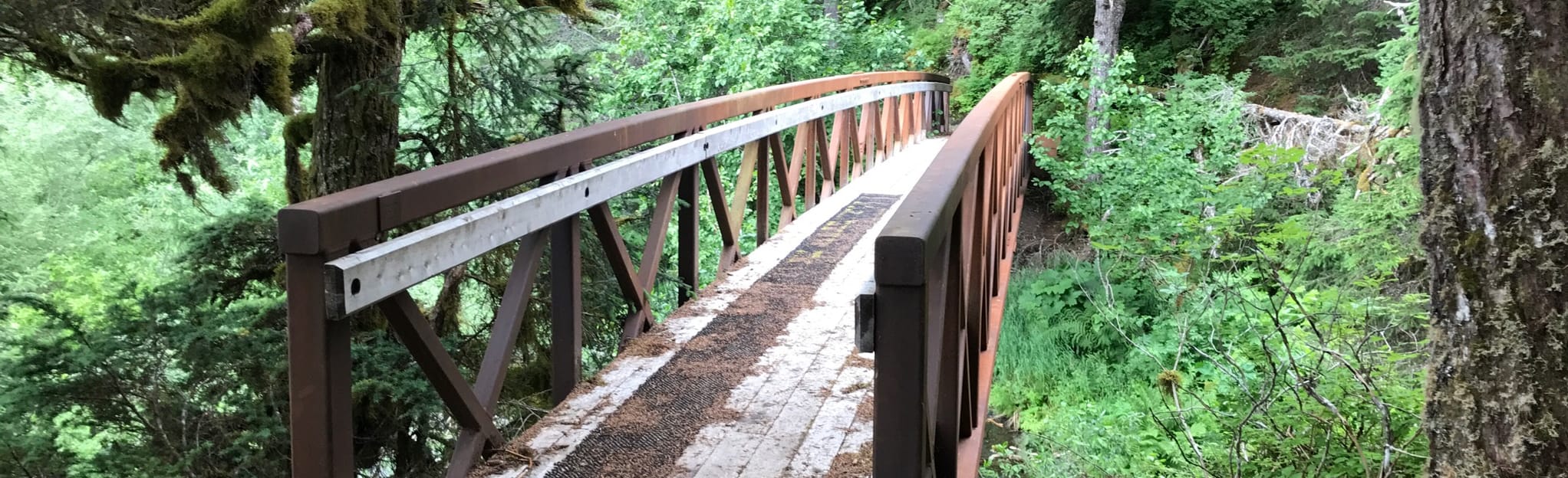 Bear Lake Trail, Alaska - 195 Reviews, Map | AllTrails