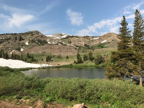 2023 Best 10 Backpacking Trails in Humboldt-Toiyabe National Forest ...