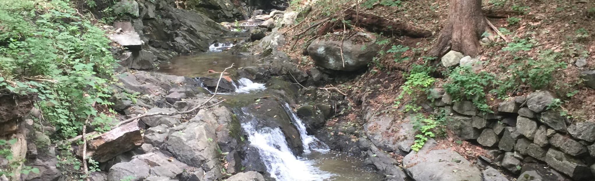 Old Forge Trail Loop | Map, Guide - New York | AllTrails