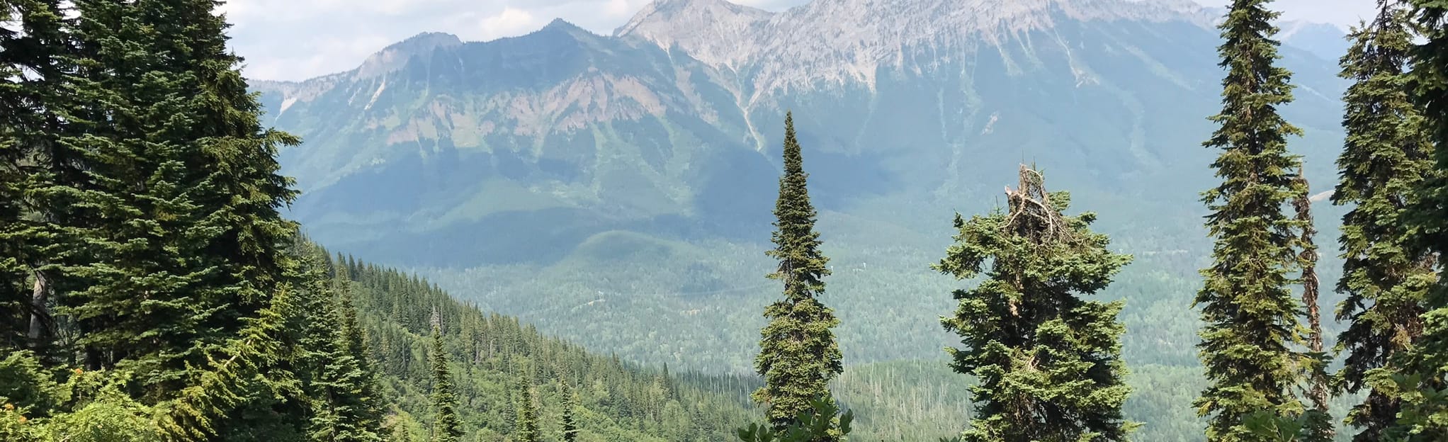 Lizard Lake Trail, British Columbia, Canada - 173 Reviews, Map | AllTrails